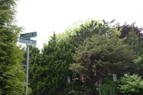Southampton Town Board Approves Stop Signs And No Parking Areas In ...
