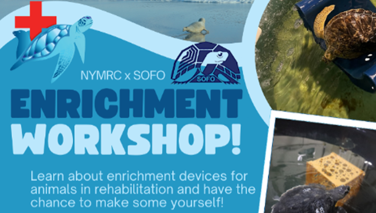 Enrichment Making Workshop with the New York Marine Rescue Center - 27 East